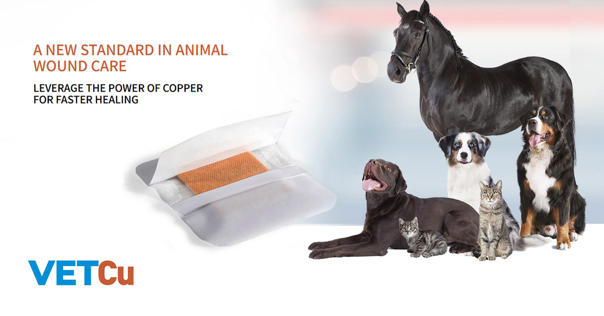 VetCu - antibacterial copper dressings for animals